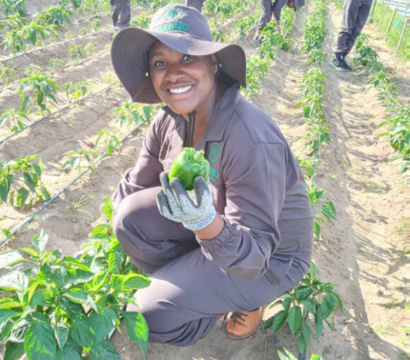 Muranda breathes fresh air into diversified farming – New Era