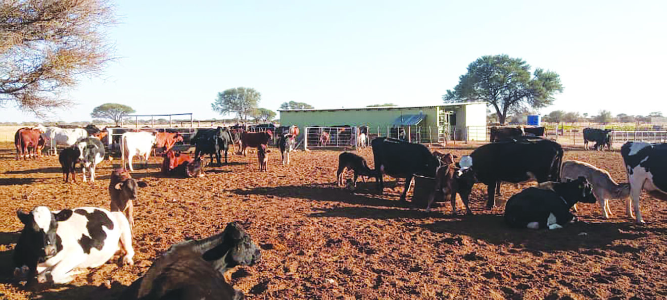 Namibia Dairies provides financial support to farmers – New Era