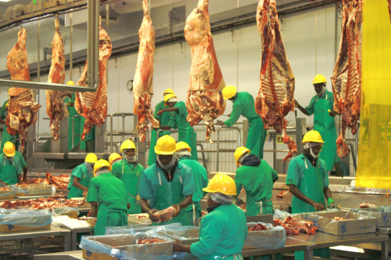 Meatco’s troubles linger – New Era
