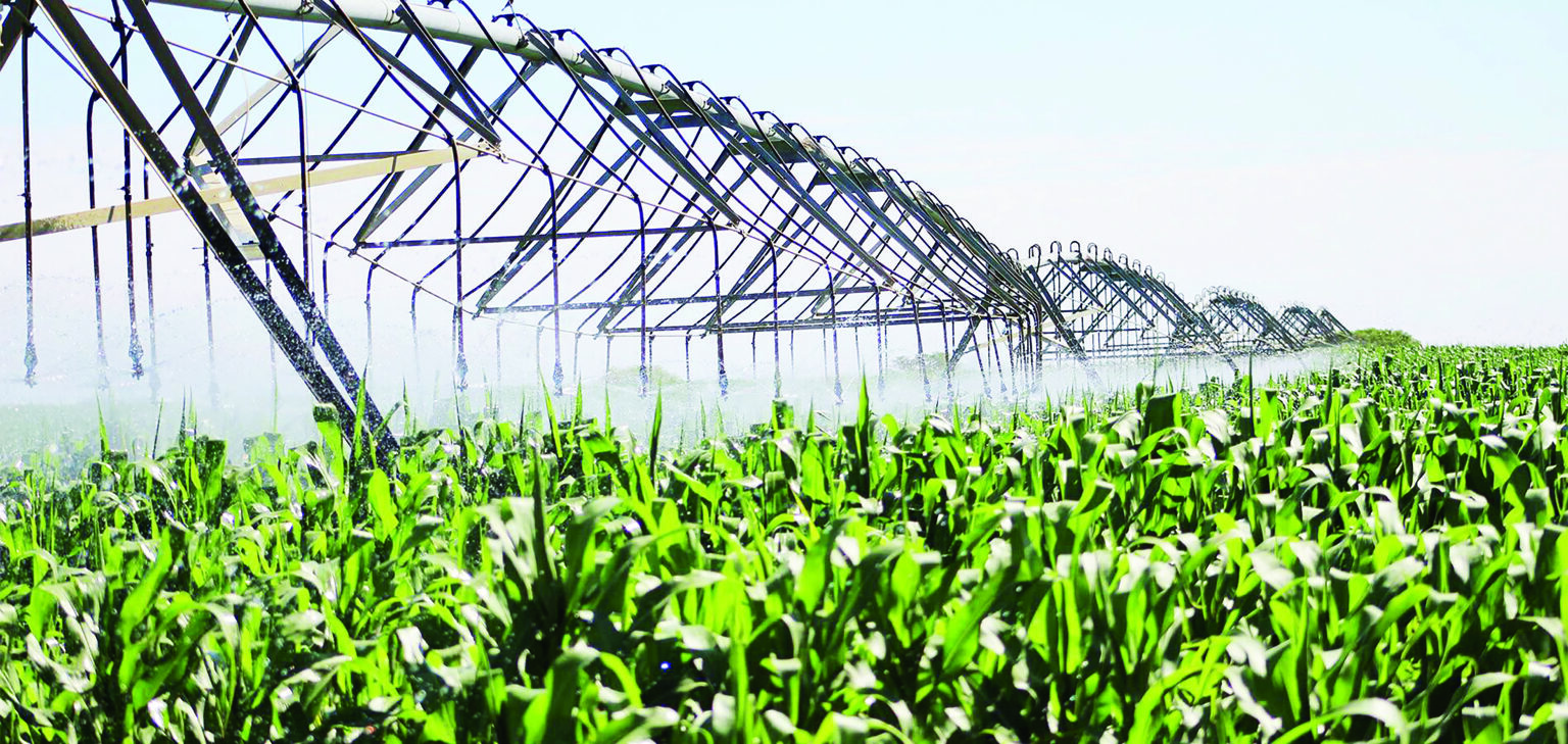 Green schemes sprout again – New Era